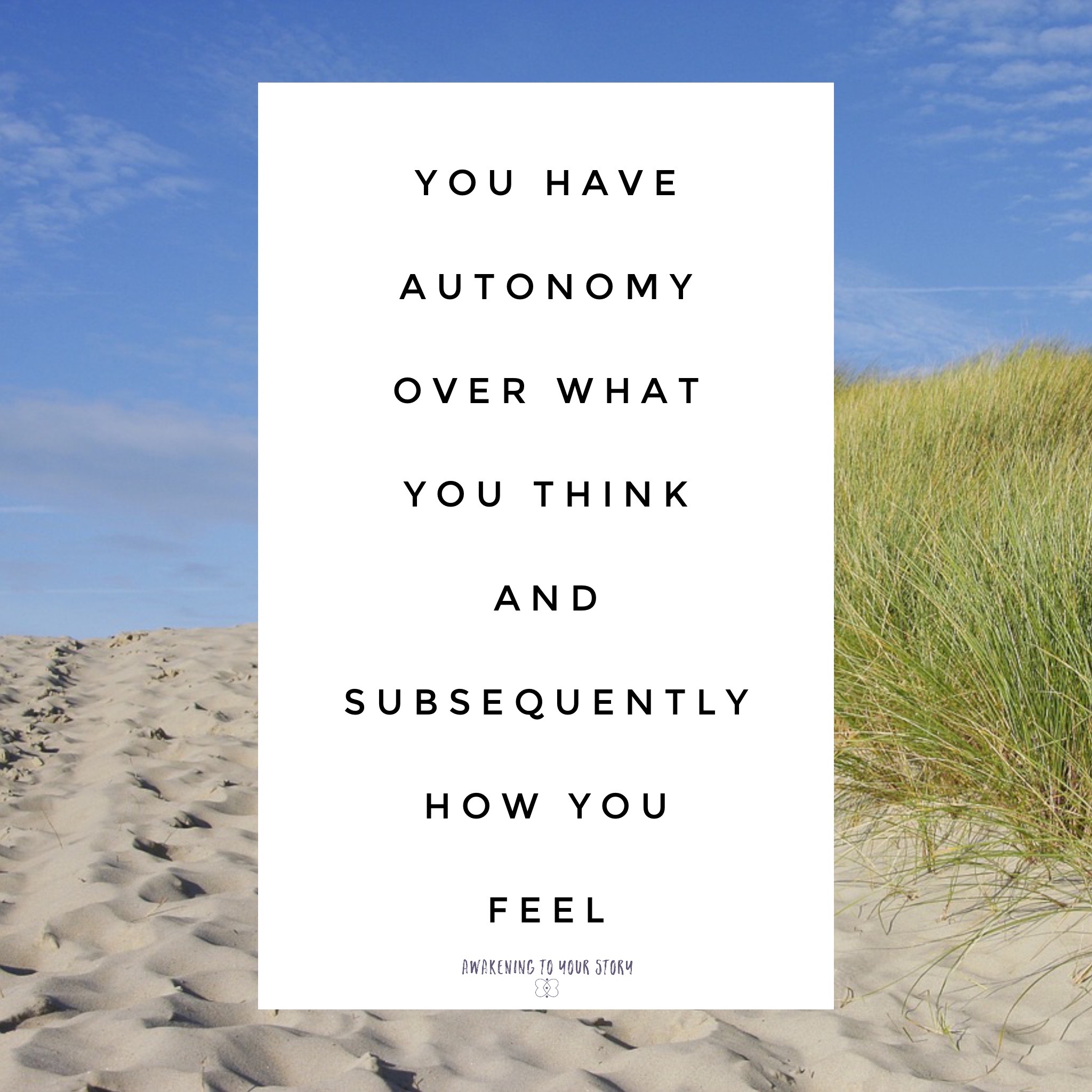 Emotional Tools – Jellyfish Beach – Awakening to Your Story